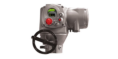 Biffi Products | Biffi US