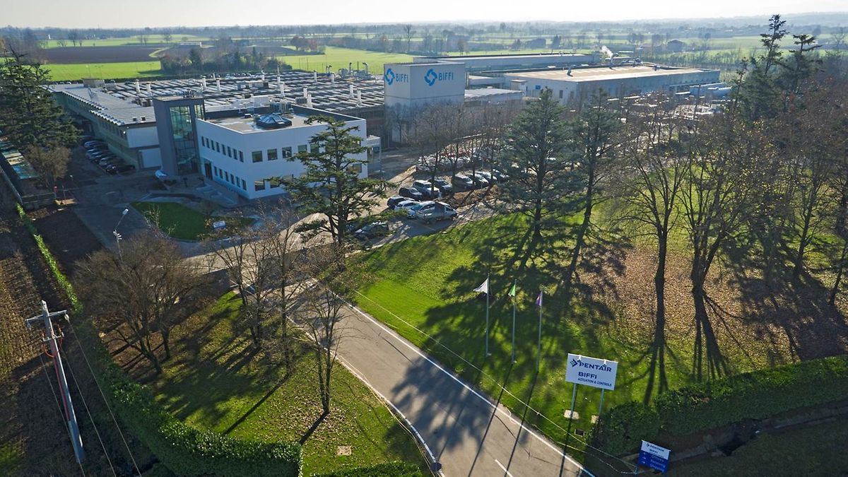 Contact Us | Biffi US