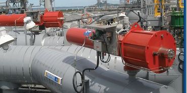 Biffi Products | Biffi US